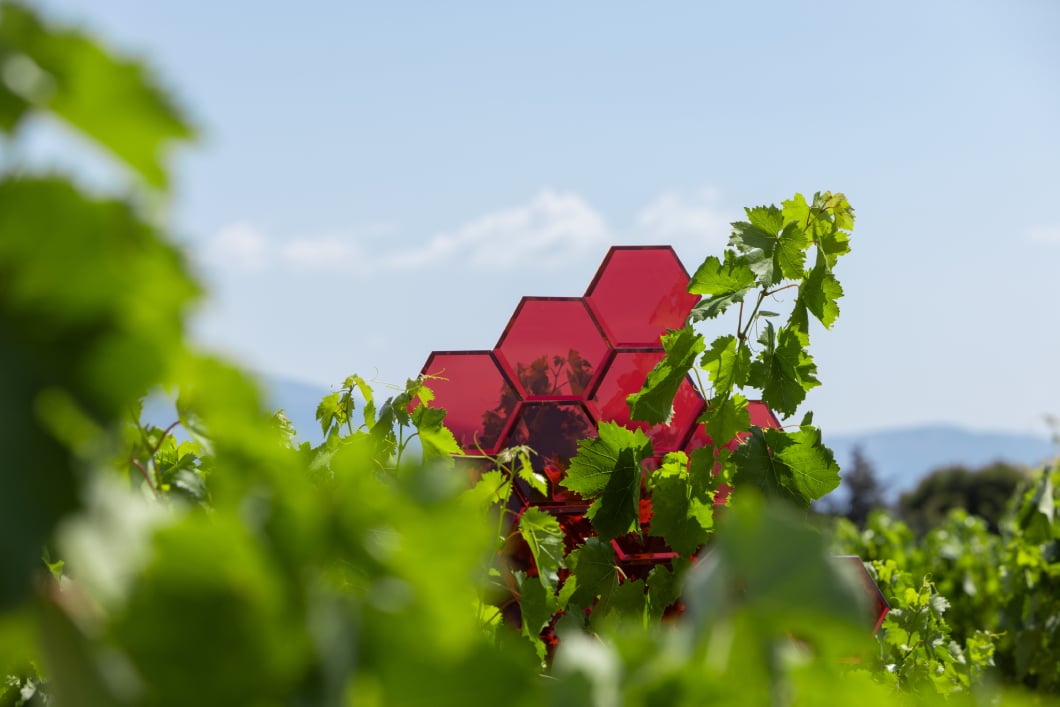 APIVITA Beevine Elixir - Skincare Range