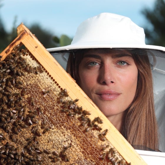 Visit Greece and discover its natural beauty | APIVITA